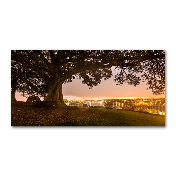 Ebern Designs Alter Baum - Kunstdrucke auf Leinwand | Wayfair.de